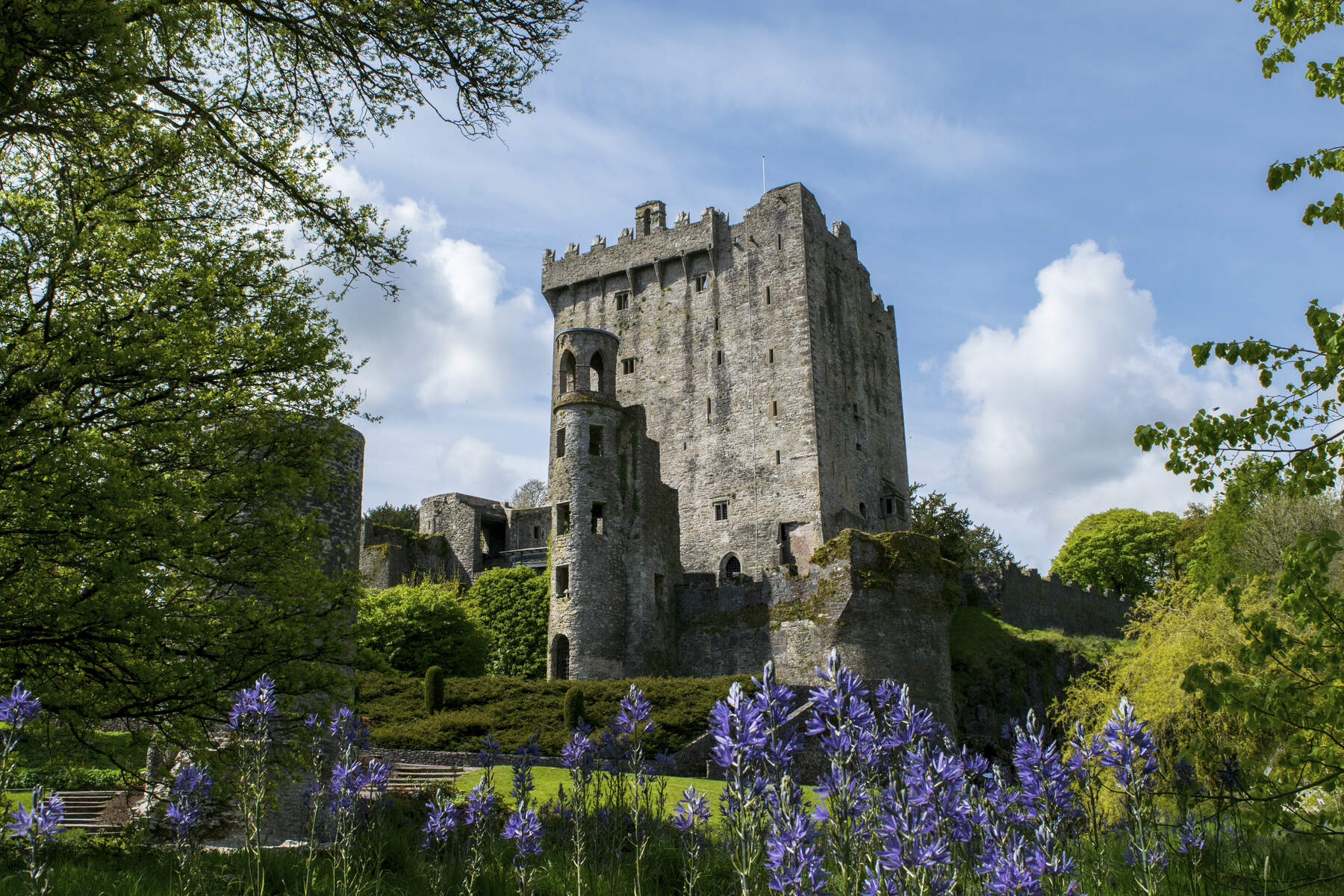 'Dry January' In Cork City | The Kingsley Blog